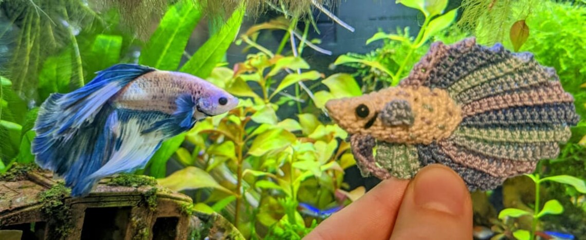 Betta Fish CROCHET PATTERN - Etsy