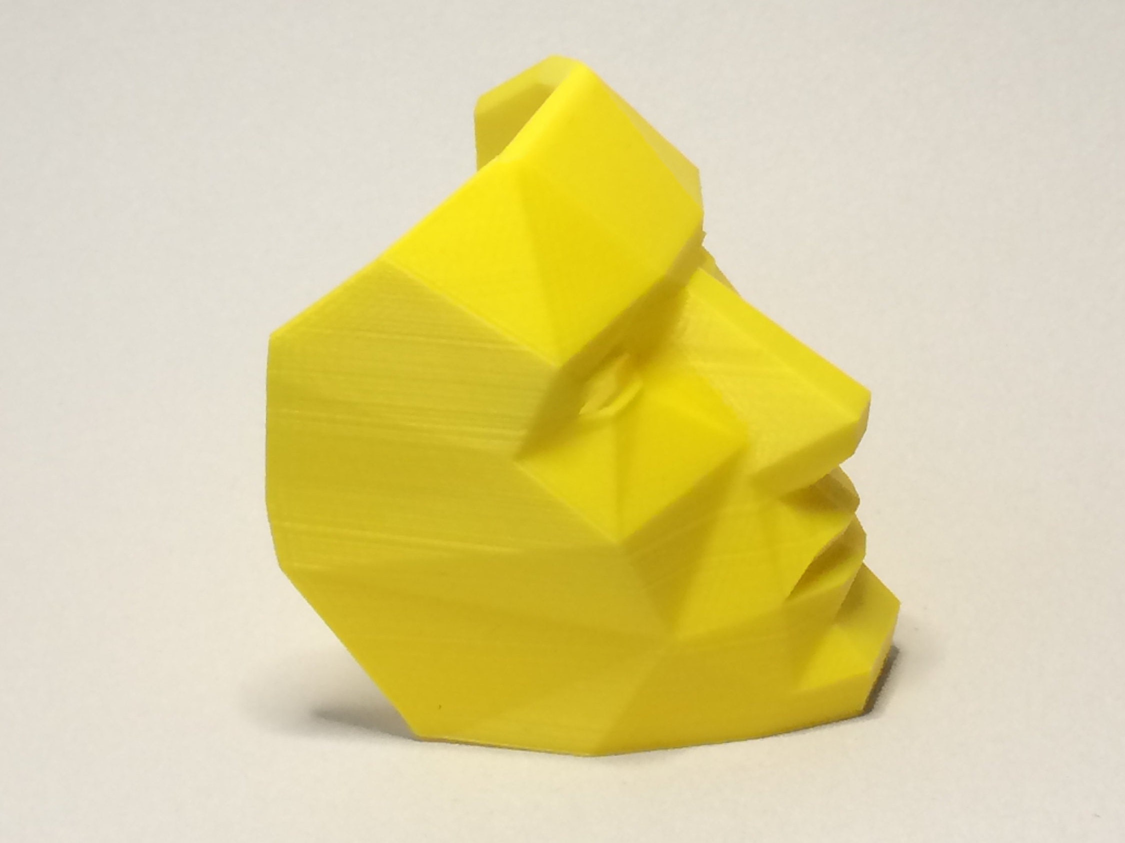 3D Printed Low Poly Face - Etsy