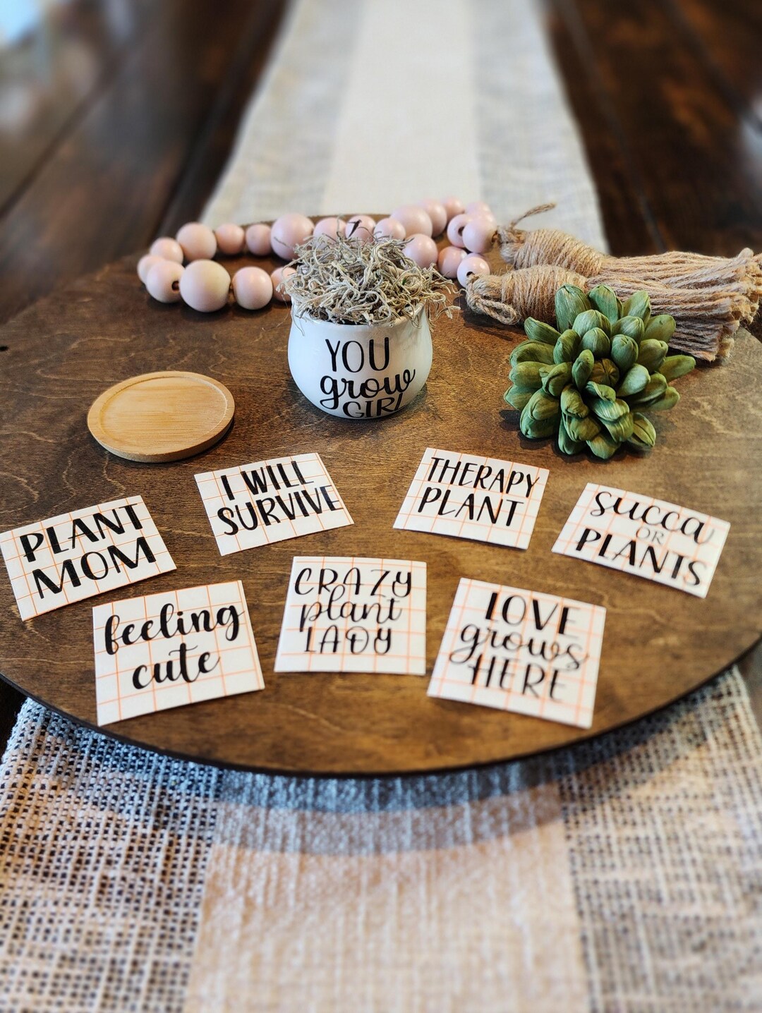 Ready to Ship! DIY Succulent Planter Gift Box, Unique Gifts, Plant ...