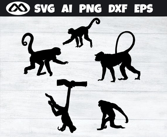 Monkey SVG Monkey Bundle Monkey Svg Monkey Clipart Monkey | Etsy