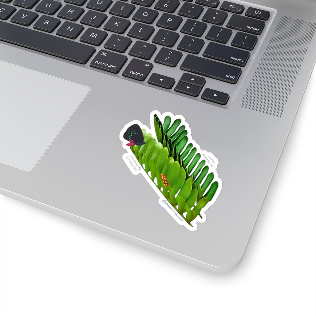 Atala Butterfly Sticker - Etsy