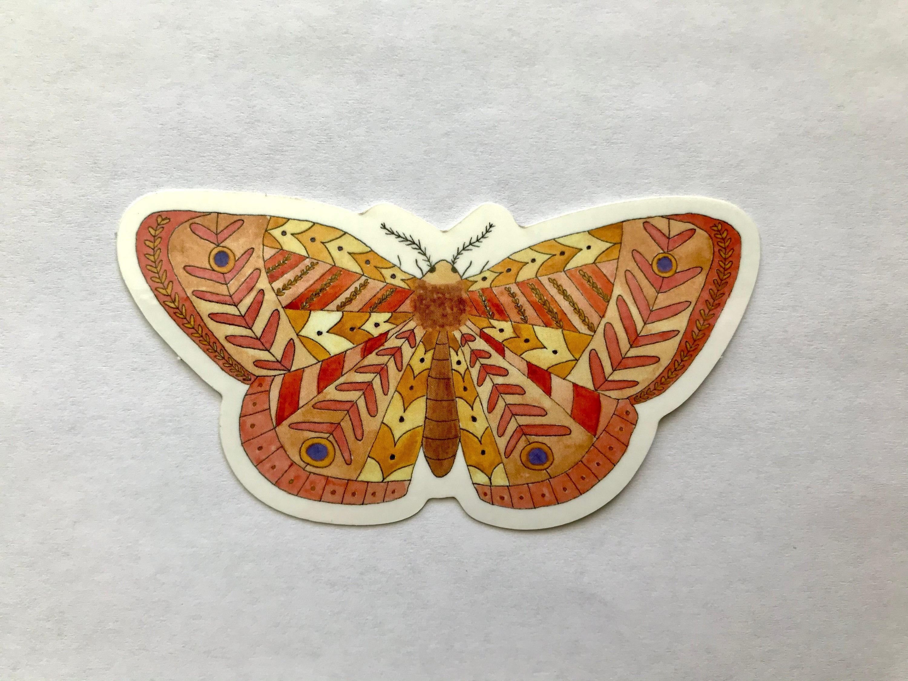 Moth Sticker Glossy Finish Waterproof - Etsy Australia