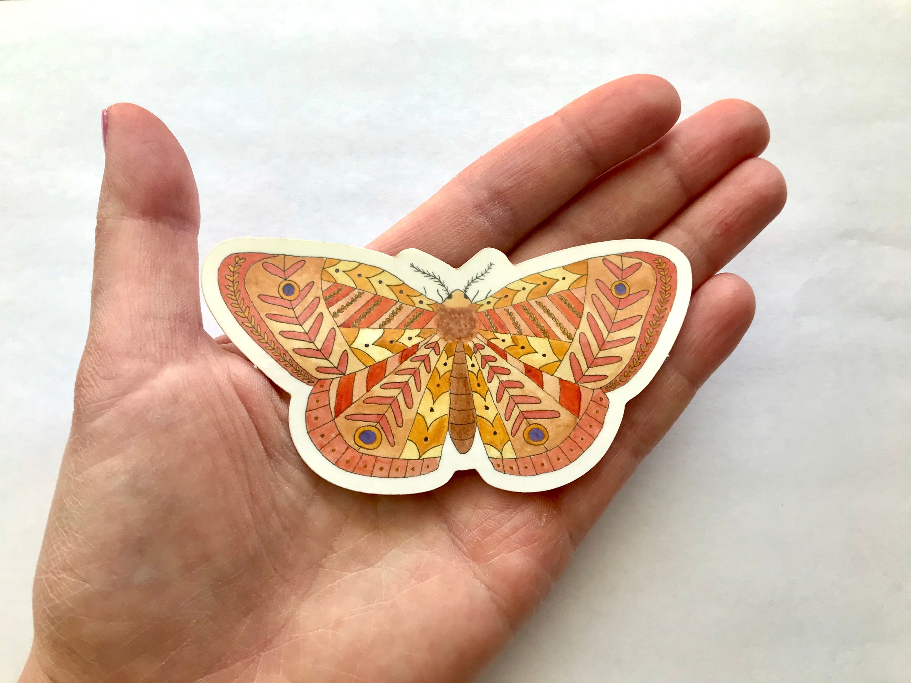 Moth Sticker Glossy Finish Waterproof - Etsy Australia