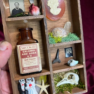 Vintage Mini oddity Curio Hanging Wall Shelf - Etsy