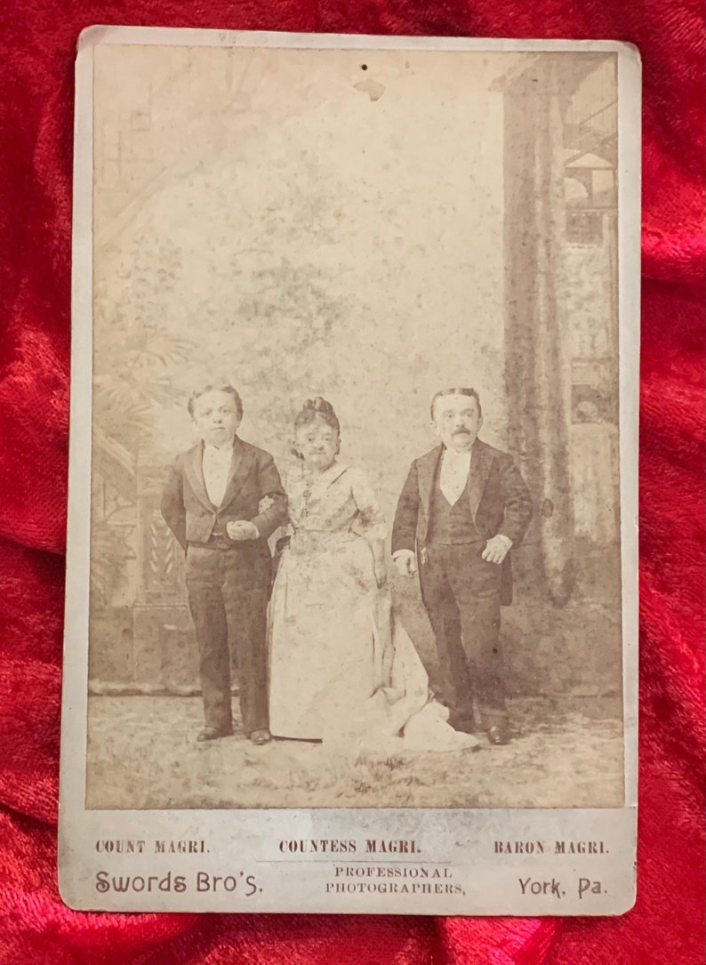 Count Magri, Countess Magri, and Baron Magri Cabinet Card (the Original ...