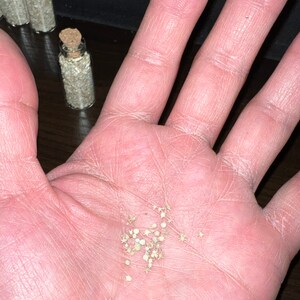 Okinawa Star Sand in a Bottle - Etsy