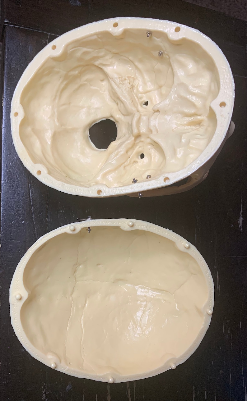 Human Skull Replica | Etsy