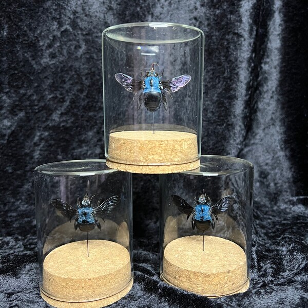 Carpenter Bee Trap - Etsy