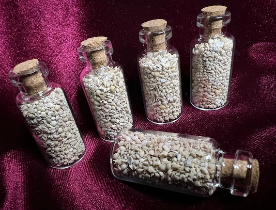 Okinawa Star Sand in a Bottle - Etsy