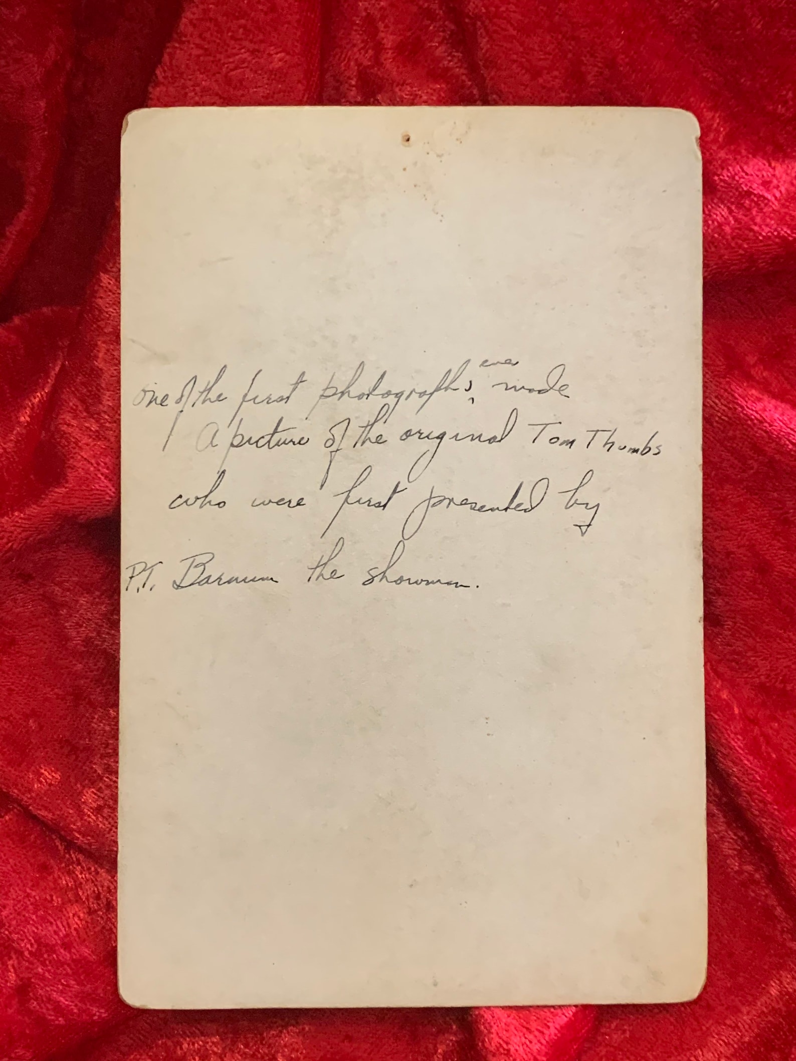 Count Magri, Countess Magri, and Baron Magri Cabinet Card (the Original ...