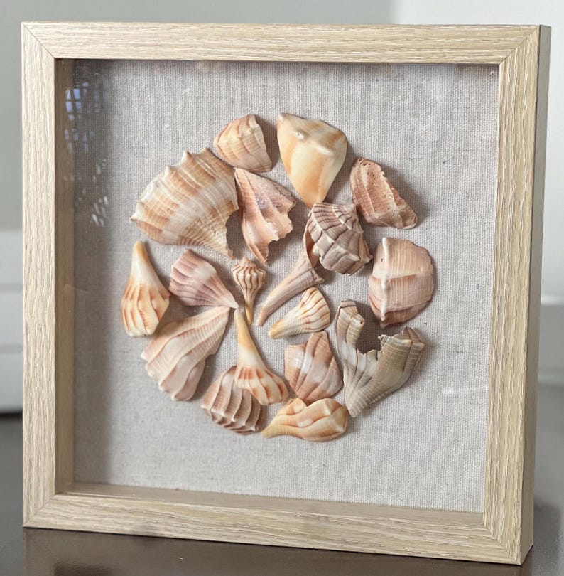 Shell Art 9x9 Framed, Handmade From Captiva Florida Shells Broken but ...