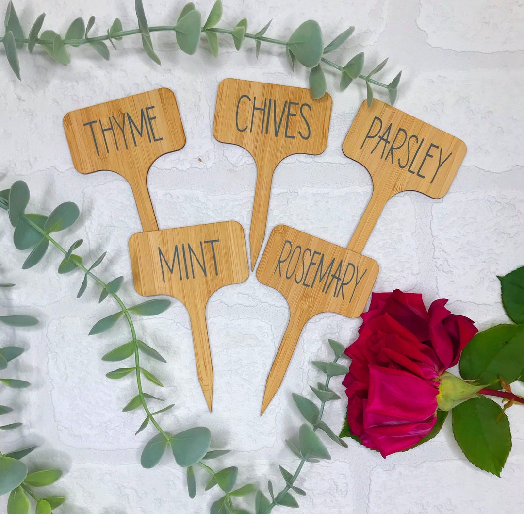 Personalised Plant Labels/Plant Name Stakes/Seed Markers/Plant Name ...
