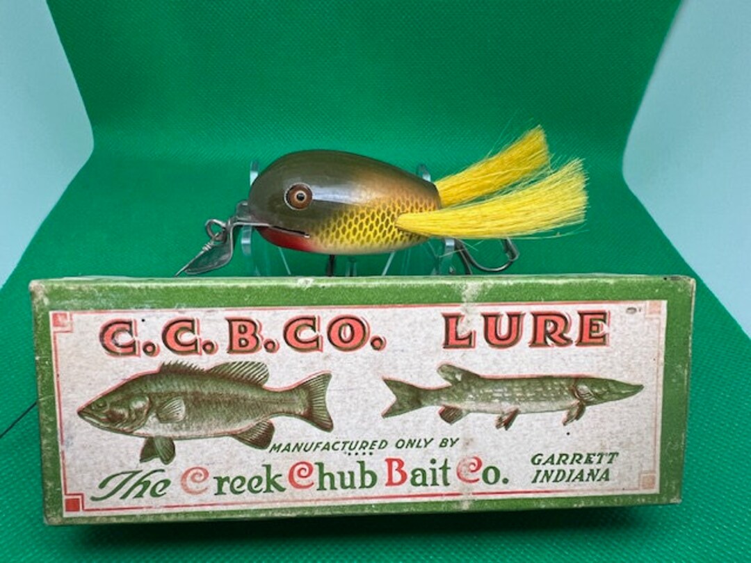 Creek Chub Dingbat in Golden Shiner. Correctly Stamped Box. Excellent ...