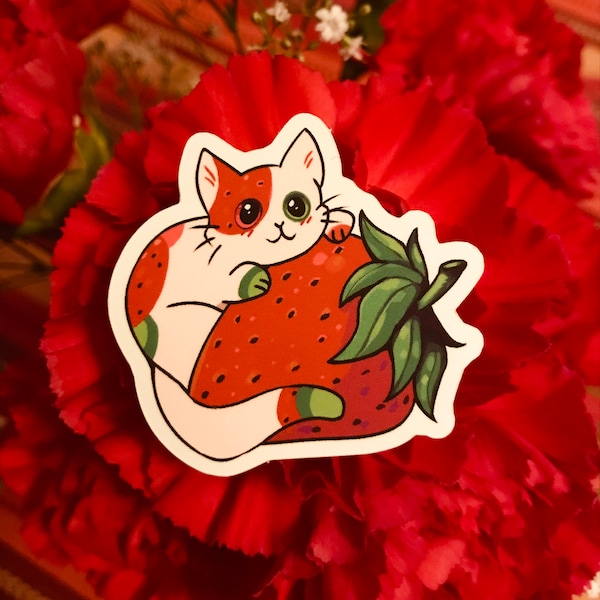 Strawberry Cat - Etsy