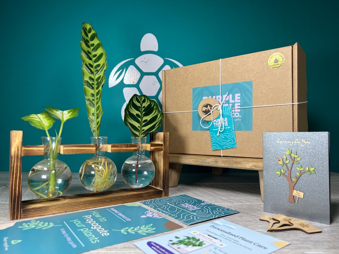 plant-propagation-set-gift-box-plant-lovers-gifts-for-etsy-uk