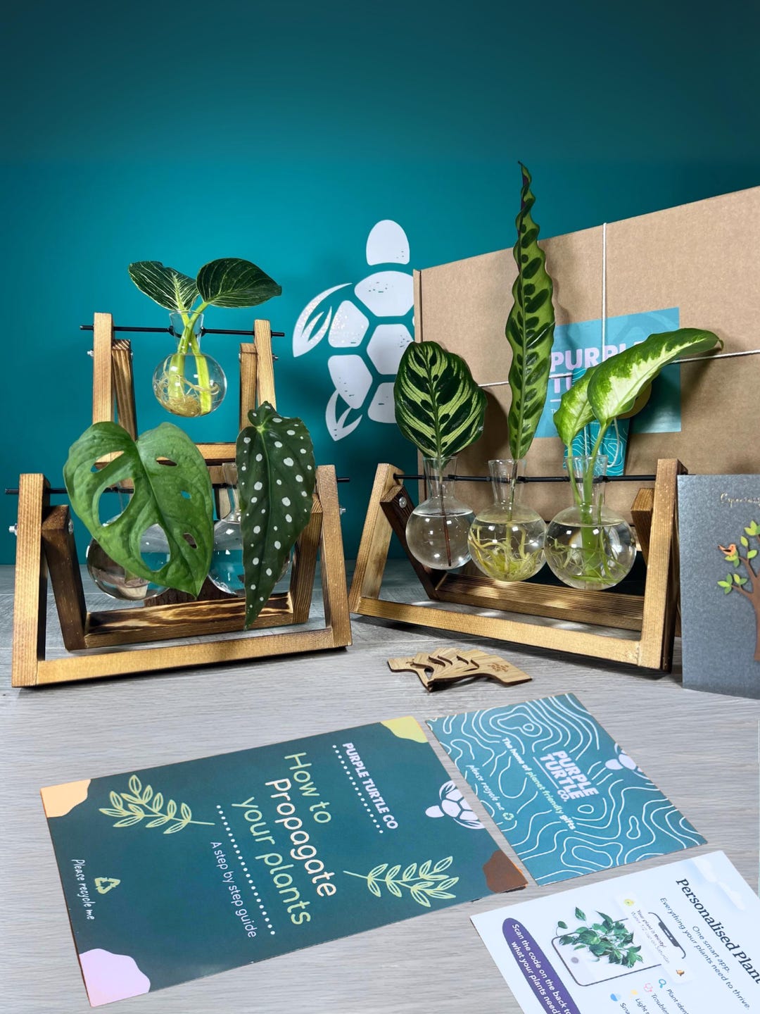 Plant Lovers Propagation Gift Set | Gifts for Her | Plant Lovers Gift ...