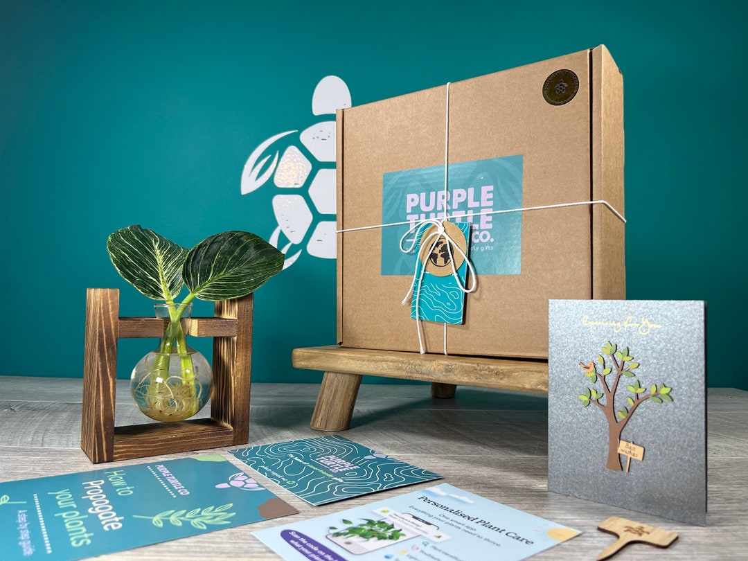 Plant Propagation Gift + Gift Box | Grow Your Plants Starter Station ...