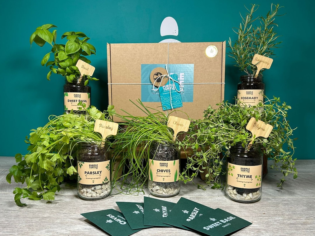 Grow Your Own Herbs Gift Box: Basil, Parsley, Chives, Thyme, Rosemary ...