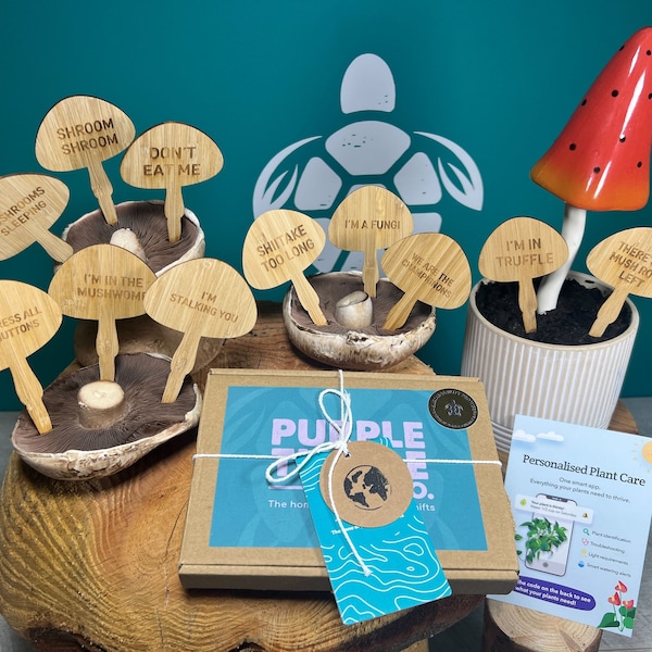 Plant Gift - 60+ Gift Ideas for 2025