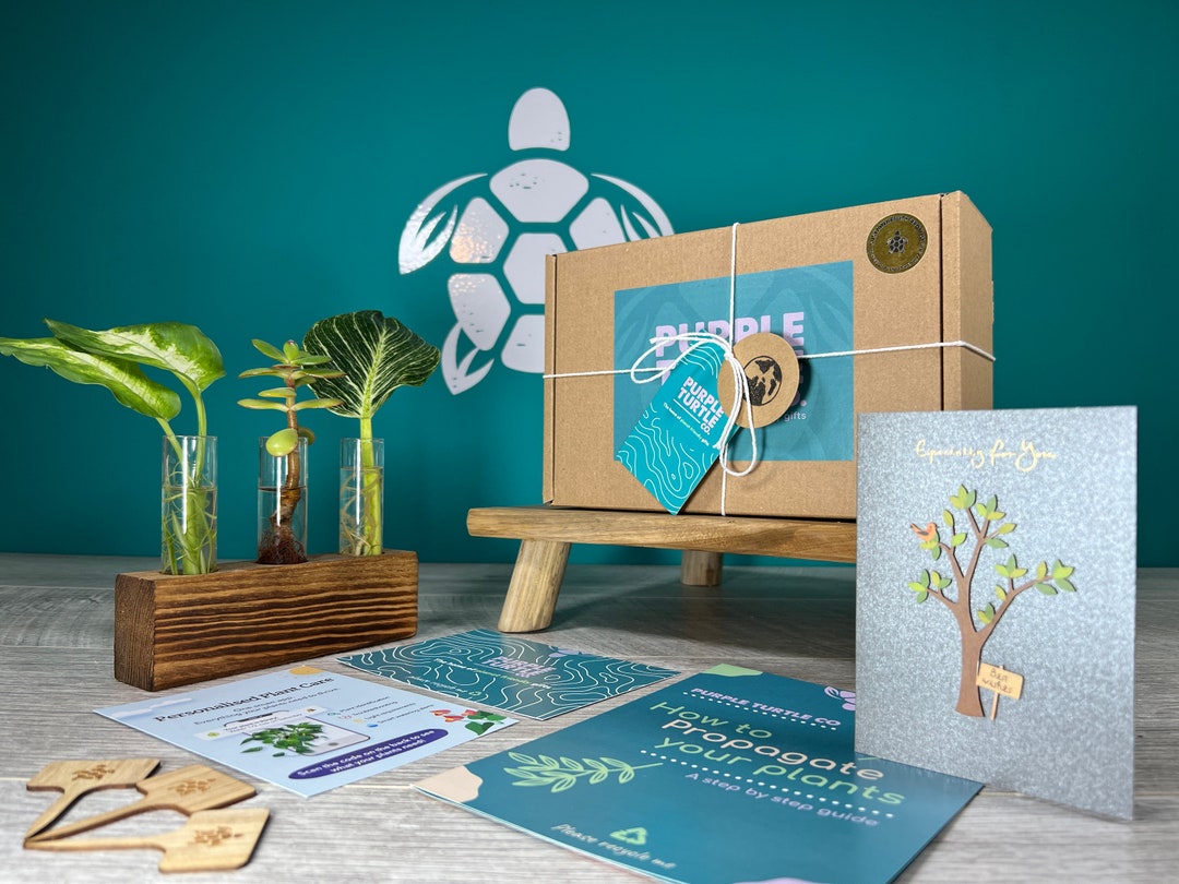 Plant Propagation Gift + Gift Box | Grow Your Plants Starter Station ...