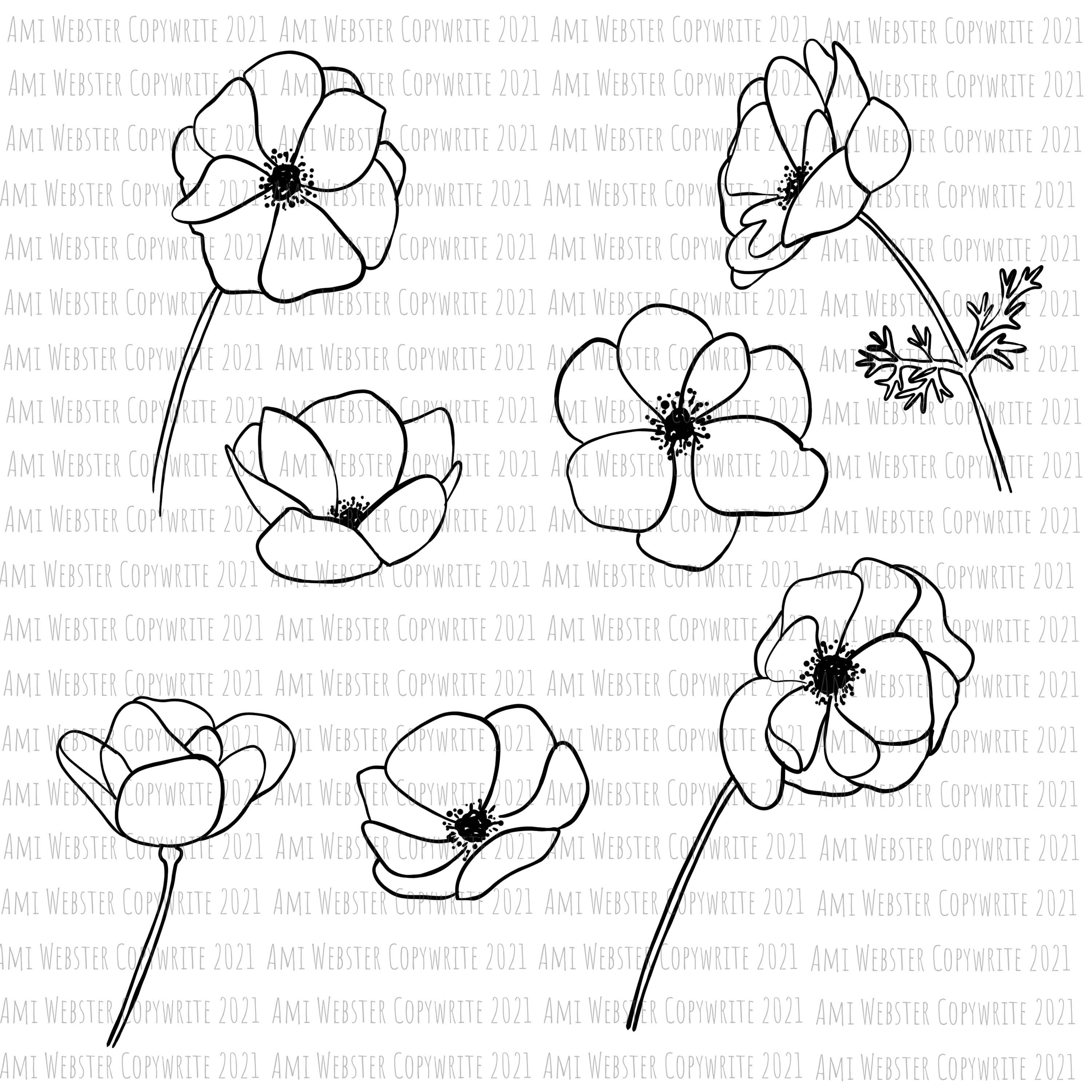 Flower Outline SVG Anemone Illustrations Bundle PNG Transparent File ...