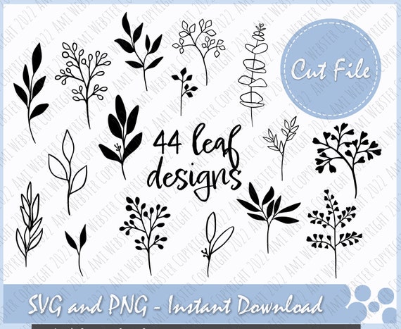Leaves SVG Leaf Outline Illustrations Bundle Leaves PNG - Etsy