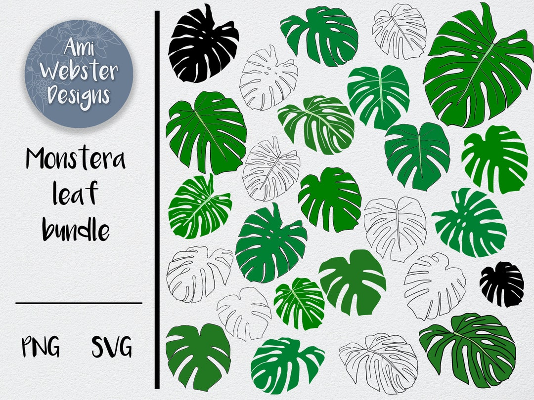 Monstera Leaf SVG, Leaf Outline, Illustrations Bundle, Leaves PNG Files ...