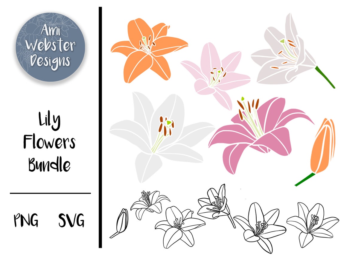 Lily Flower SVG Lily SVG Lily SVG Bundle Lilies Png Flower Cut Files ...