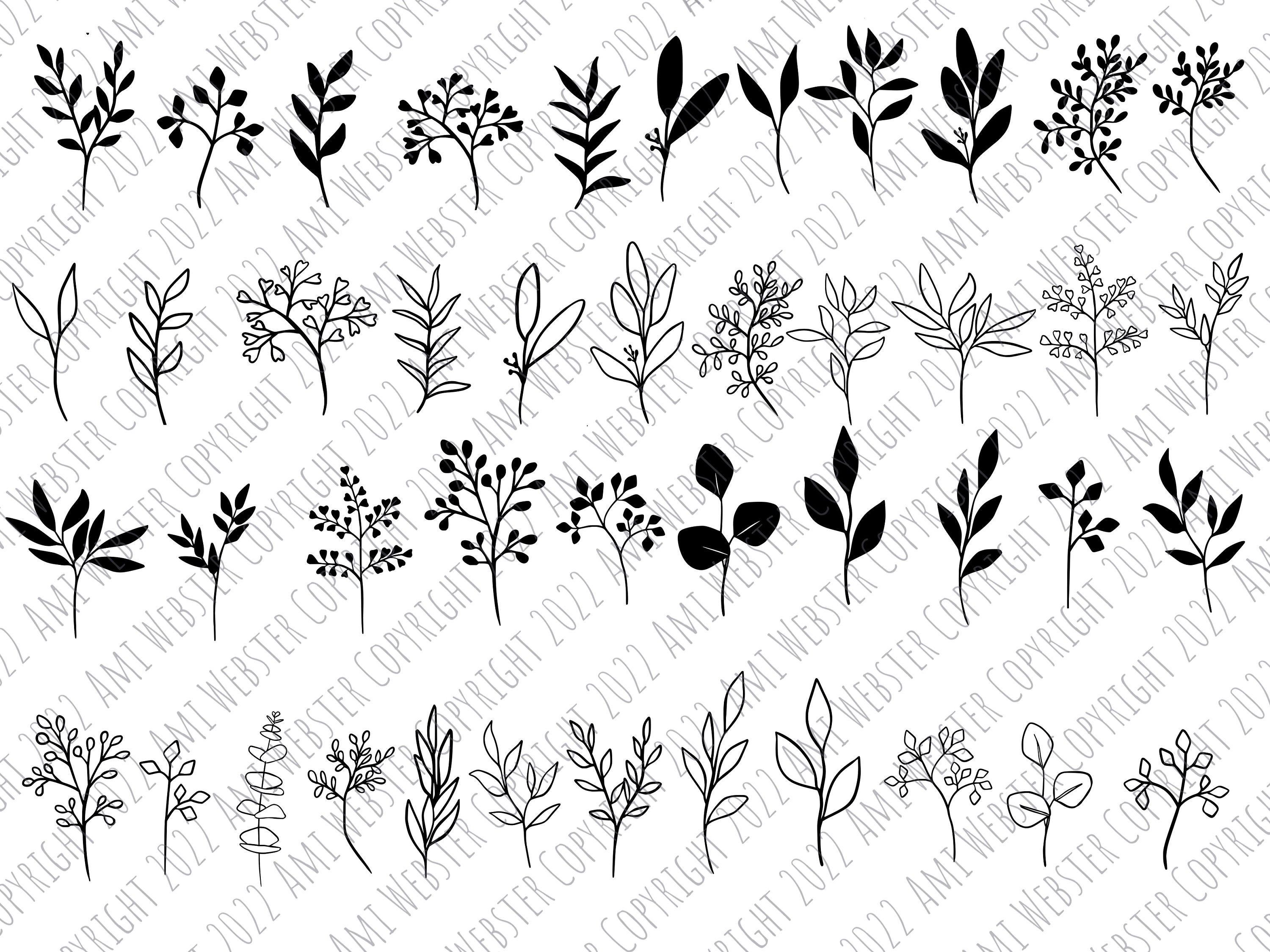 Leaves SVG, Leaf Outline, Illustrations Bundle, Leaves PNG Files, Hand ...