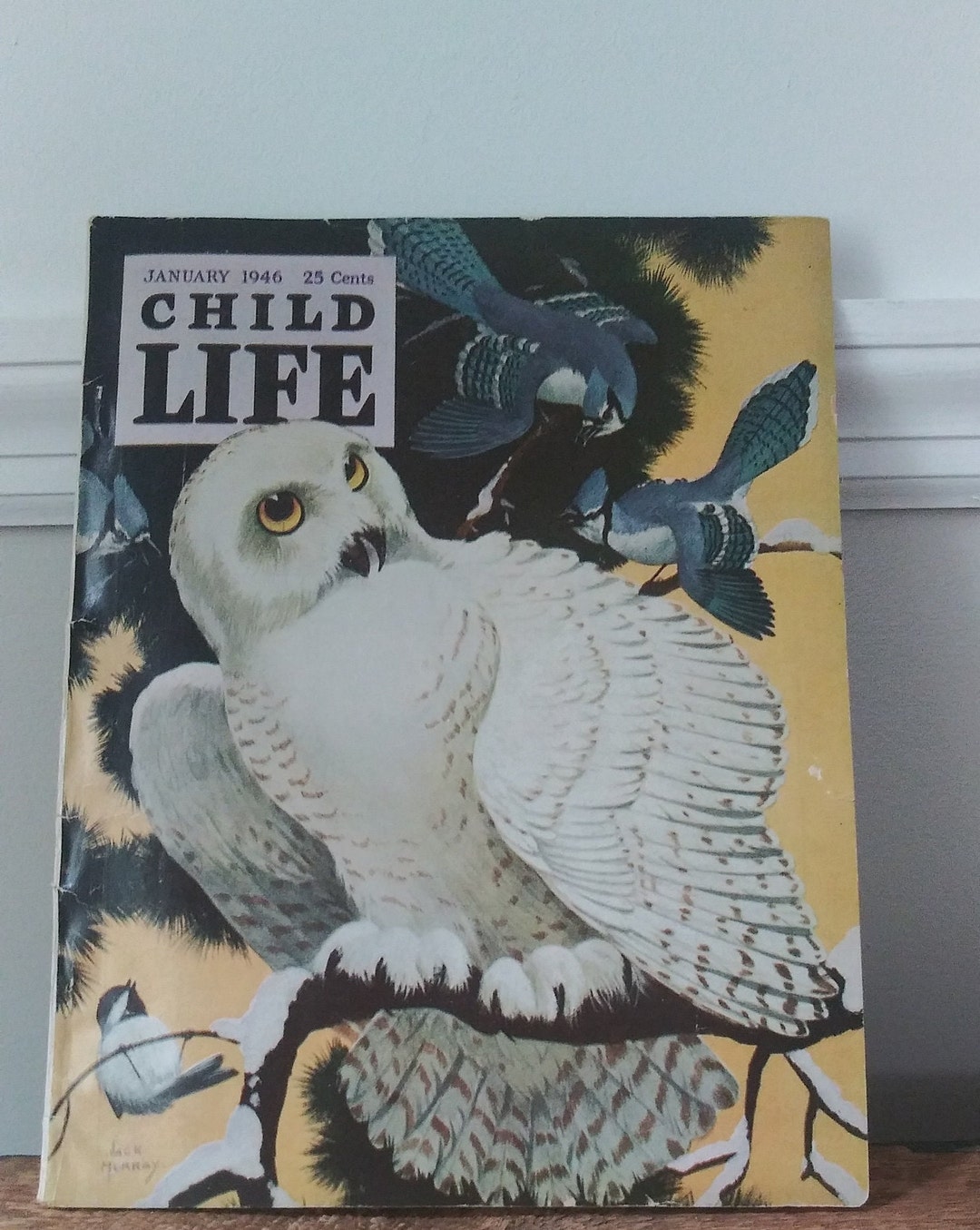1946 Child Life Magazine White Owl Cover - Etsy