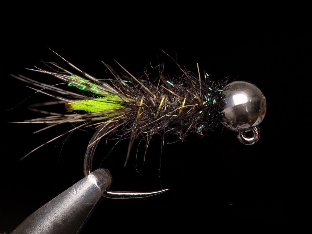 Peeping Cased Caddis Nymph V1 (3-pack) - Etsy