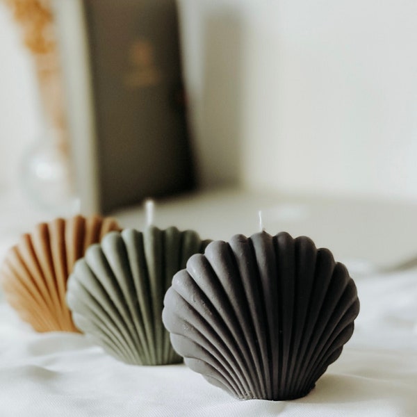 Shell Candle - Etsy