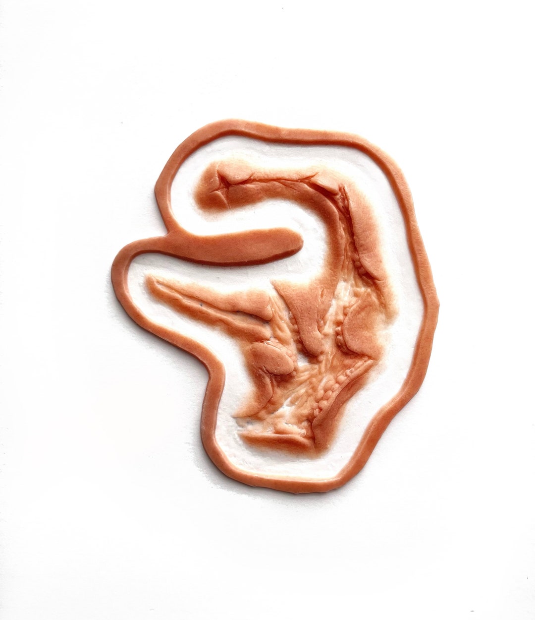 Face Trauma Prosthetic / Encapsulated Silicone / SFX MAKEUP / Mock ...