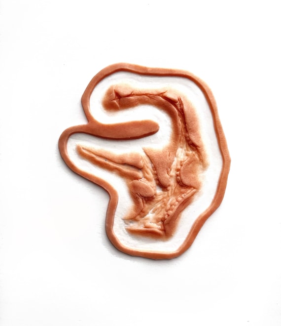 Face Trauma Prosthetic / Encapsulated Silicone / SFX MAKEUP / | Etsy