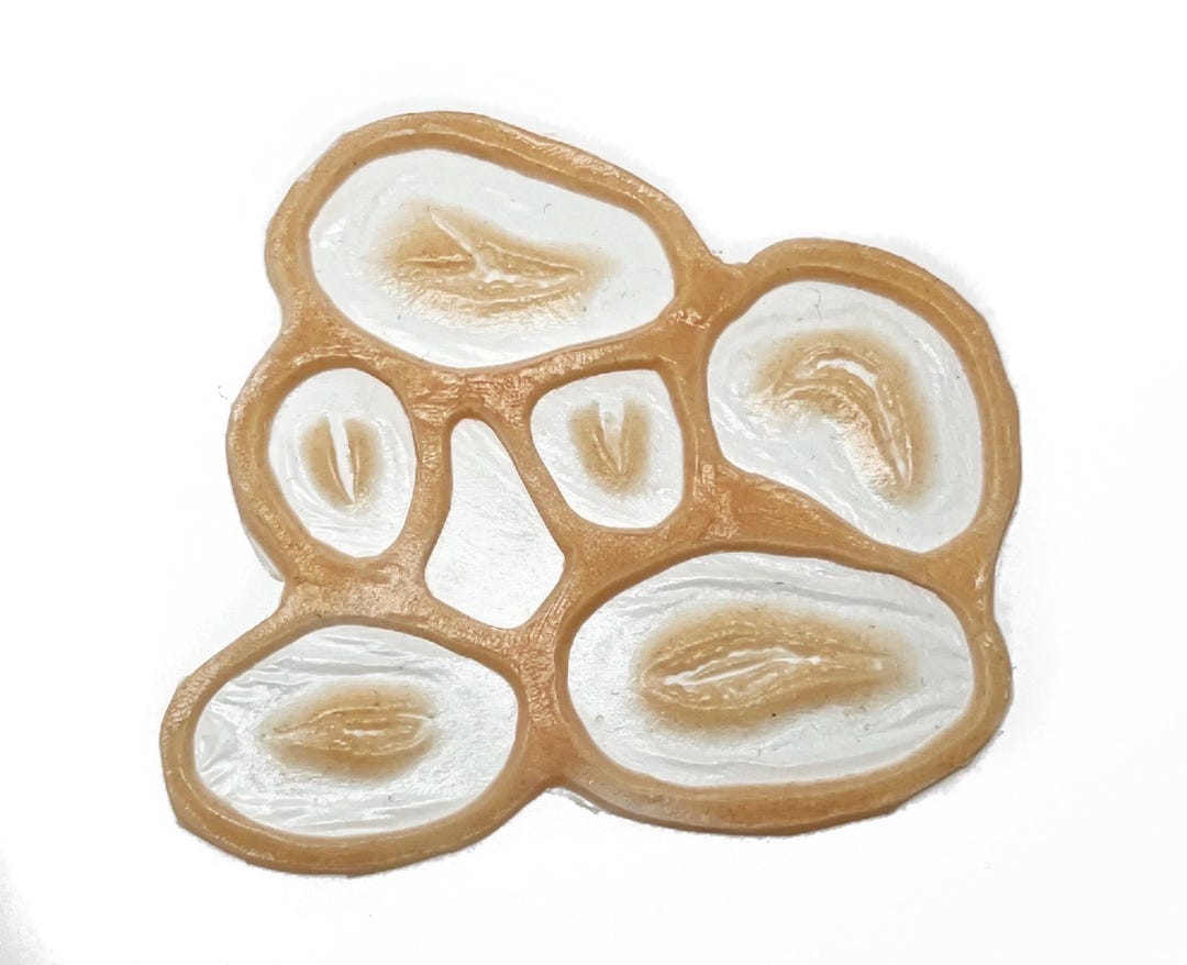 Mini Cuts Pack / Small Laceration Set / Encapsulated Silicone ...