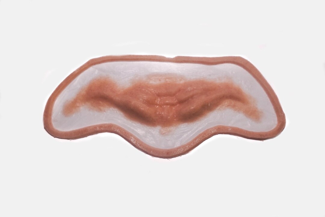 Small Brow / VAMPIRE / Encapsulated Silicone Prosthetic / Monster ...