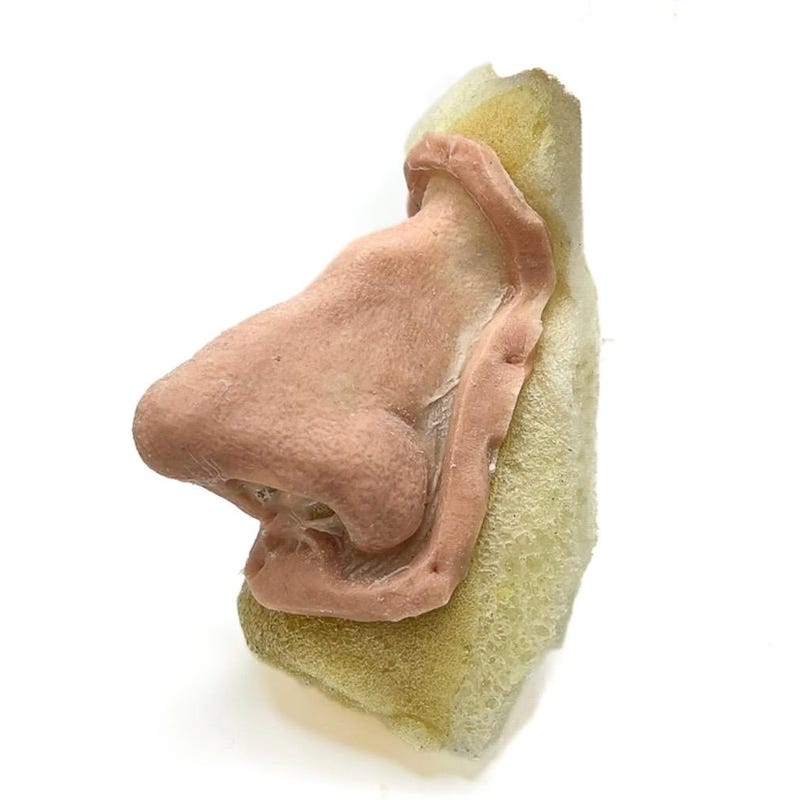 Demon Nose Prosthetics - Etsy