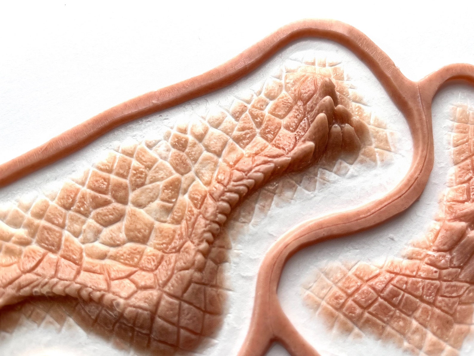 Bearded Dragon Set / Encapsulated Silicone Prosthetics / - Etsy