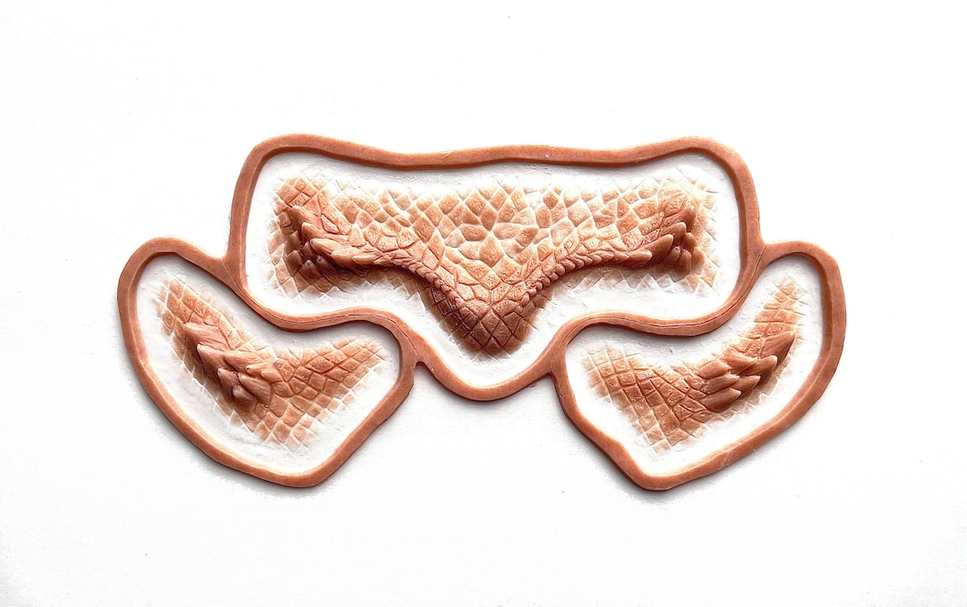 Bearded Dragon Set / Encapsulated Silicone Prosthetics / Reptile SFX ...