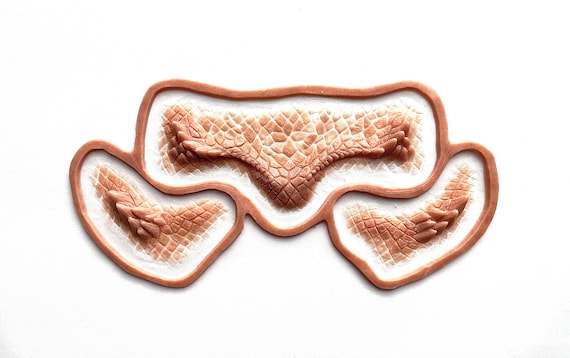 Bearded Dragon Set / Encapsulated Silicone Prosthetics / - Etsy