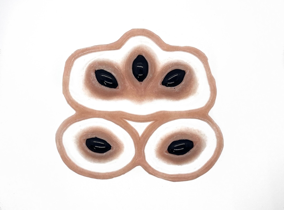 Multiple Eye Gem Set / Silicone Prosthetic / Third Eye / Fantasy ...