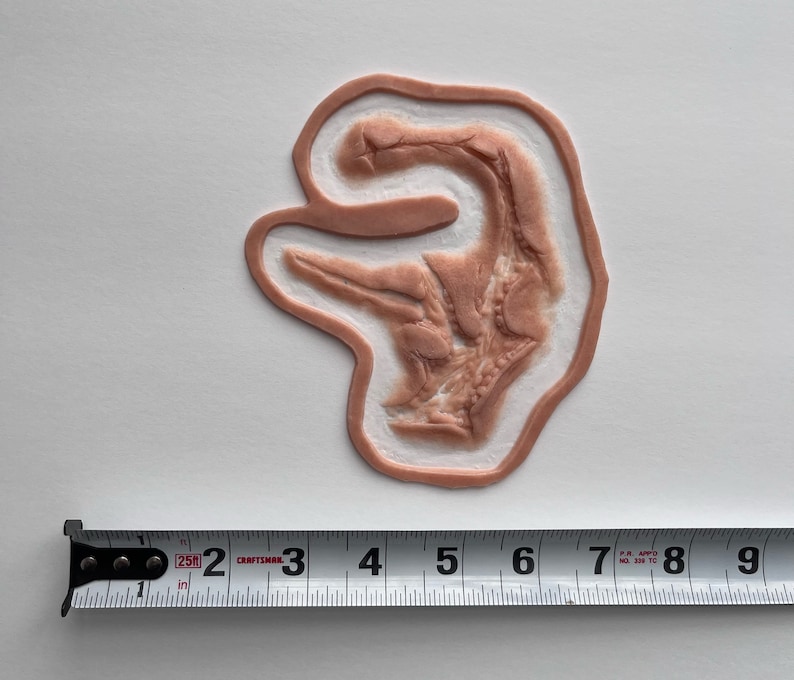 Face Trauma Prosthetic / Encapsulated Silicone / SFX MAKEUP / | Etsy