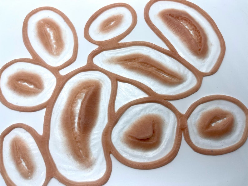 Glasseration Pack / Laceration / Glass Cuts / Encapsulated Silicone ...
