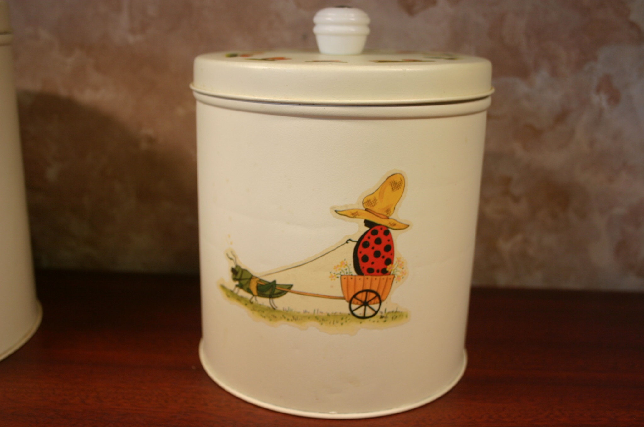 Vintage Metal Canister Set of 4 / off White / Ladybug Frog | Etsy