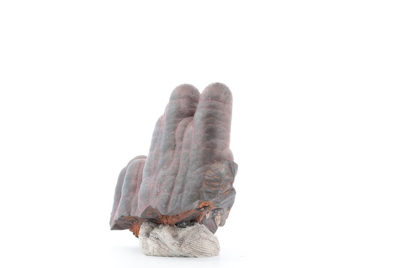 Moroccan Botryoidal Goethite – 93g - Etsy