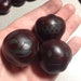 LUCKEYES - Lucky Buckeyes Buckeye Nuts From the State of Ohio for Fans ...