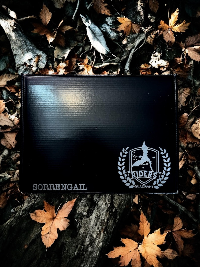 Fourth Wing Book Box | Iron Flame | Bookish Box | Choose Your Quadrant ...