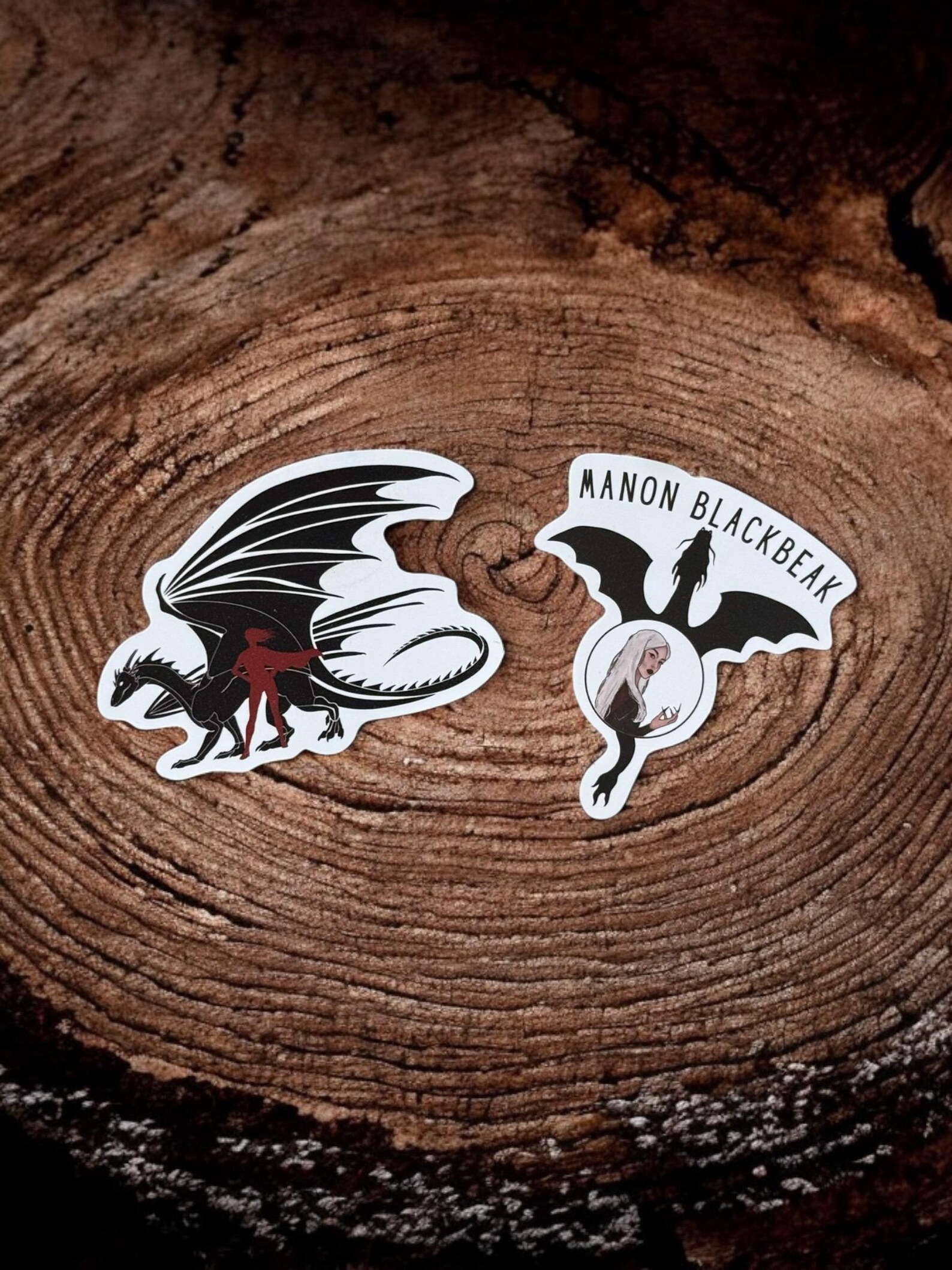 Manon Blackbeak Book Box | the Thirteen | Ironteeth Clan | Bookish Box ...