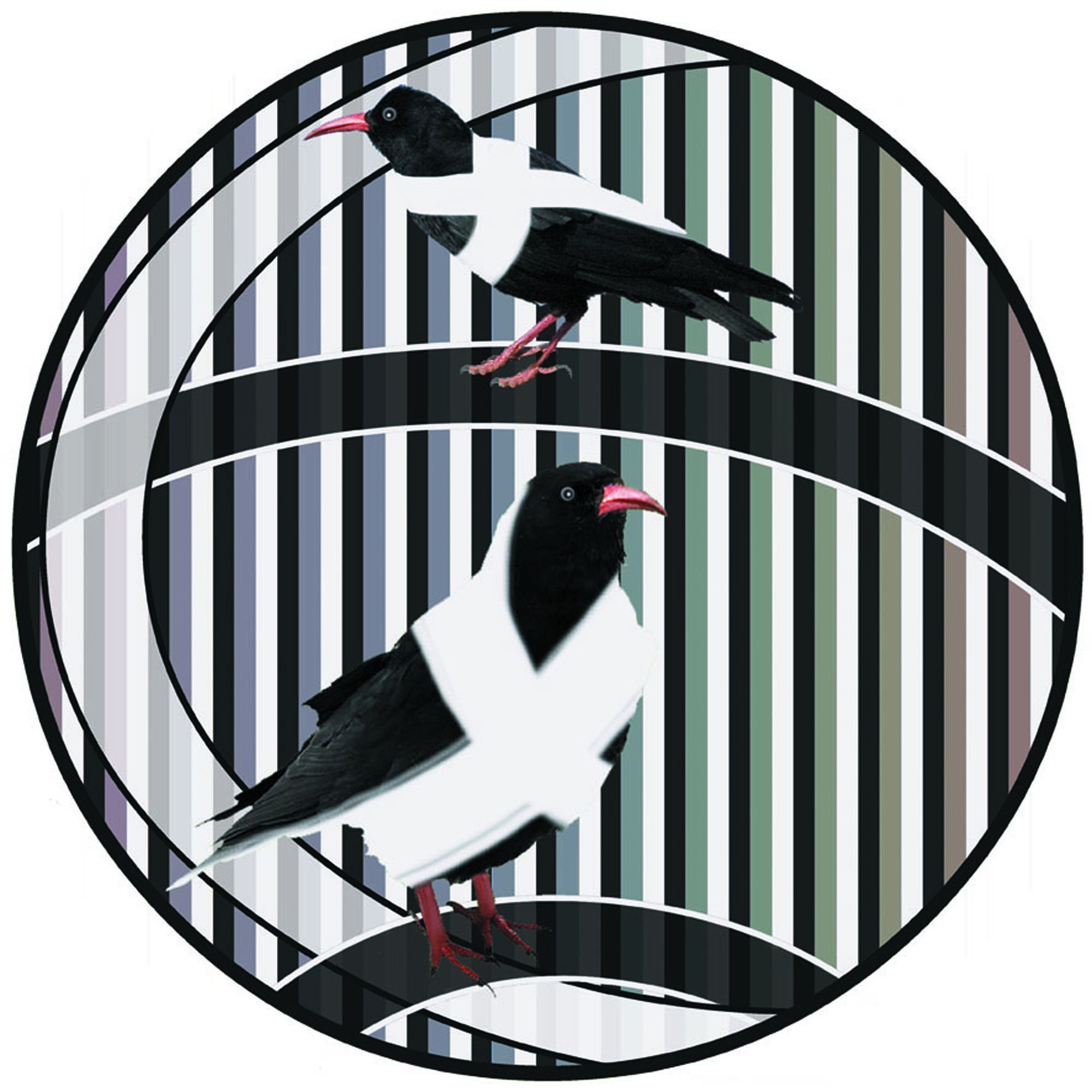 Pack of 3 Cornish Stickers Pack A - Etsy.de