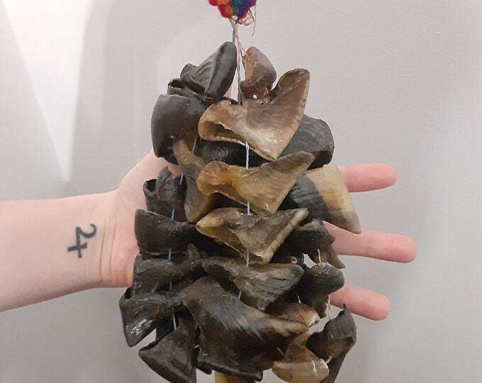 VINTAGE RITUAL RATTLE Goat Hoof Rattle Magic Rattle Mysterious - Etsy